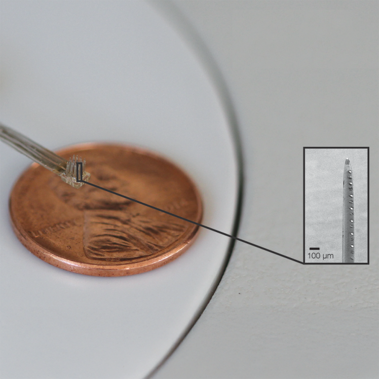 N-Form Multi-Electrode Array – NeuraLynx